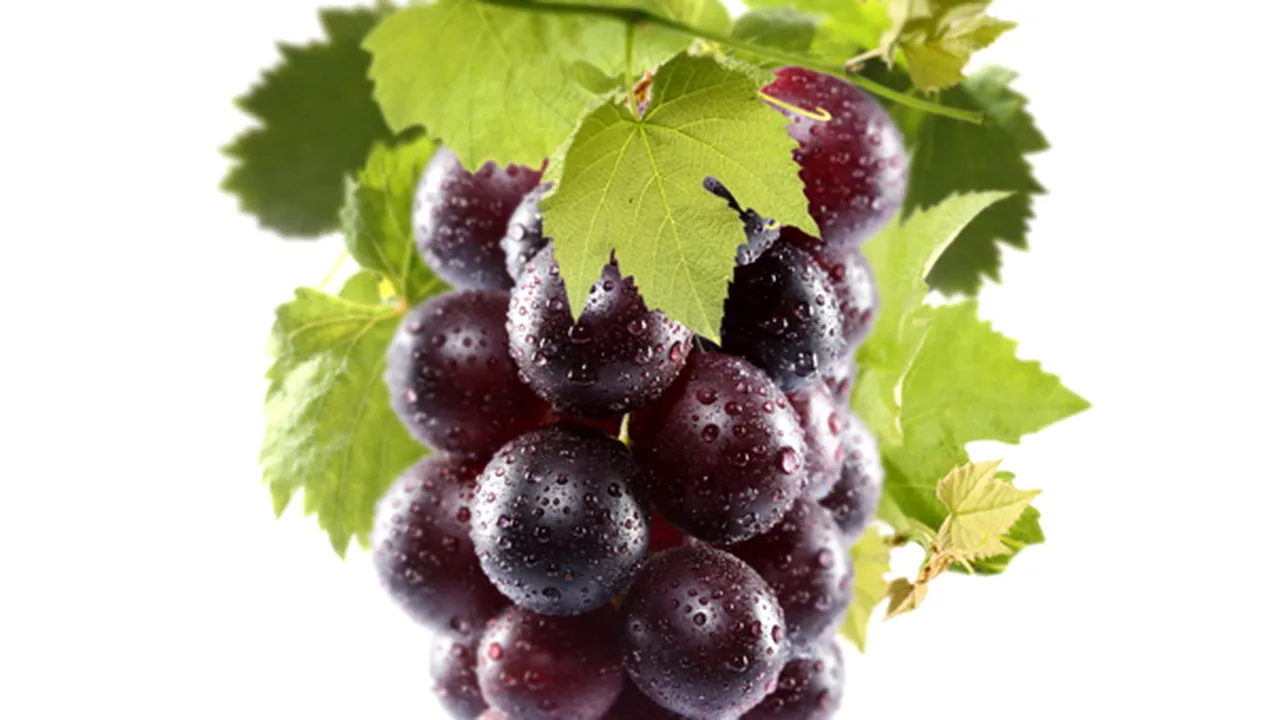 De ce să mănânci STRUGURI: Ce beneficii au "superfructele" toamnei - FOTO