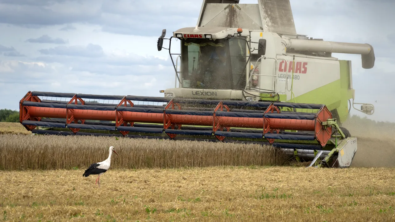 Ciolacu cere, în funcţie de planul Ucrainei, prelungirea interdicţiei ...